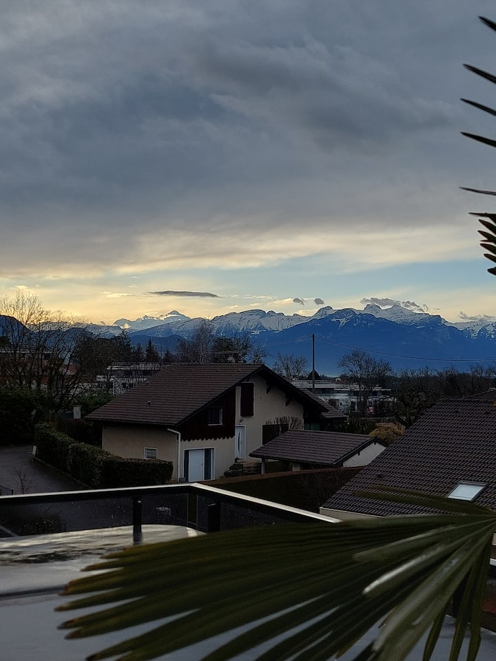 Attique Vue Mont Blanc - Annemasse