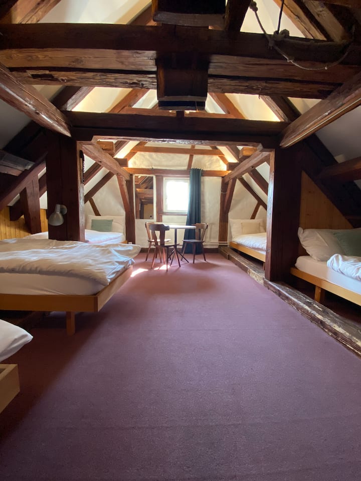 Mehrbettzimmer Standard - Hotel - Appenzell District