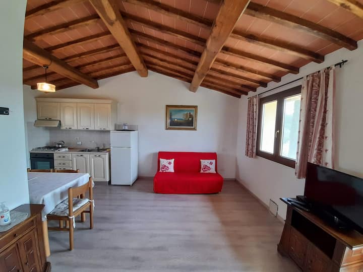 Alloggio In Campagna In Provincia Di Firenze - Italy
