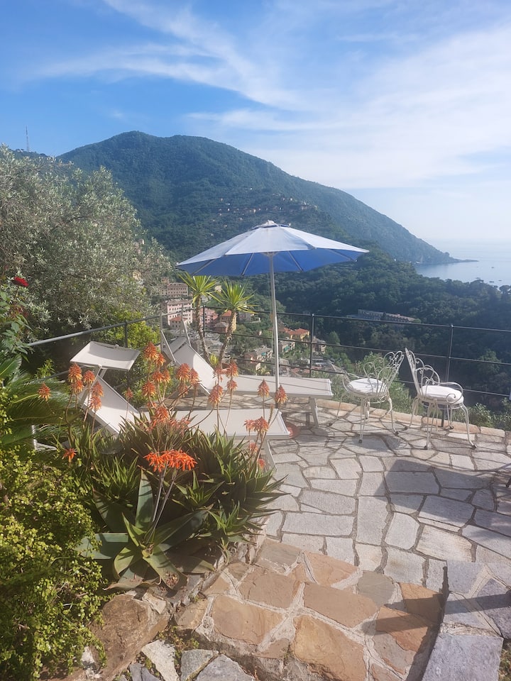 "La Crocetta Small" Di Via Romana - Camogli