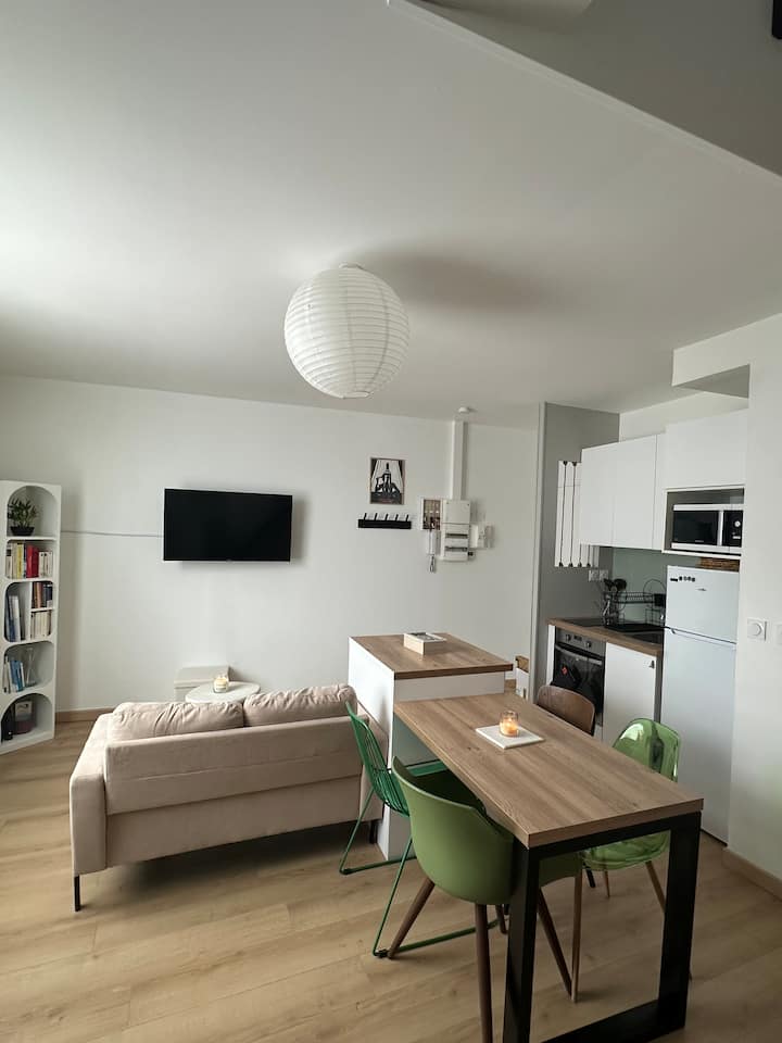 Duplex Sur Les Bords De Loire - Angers