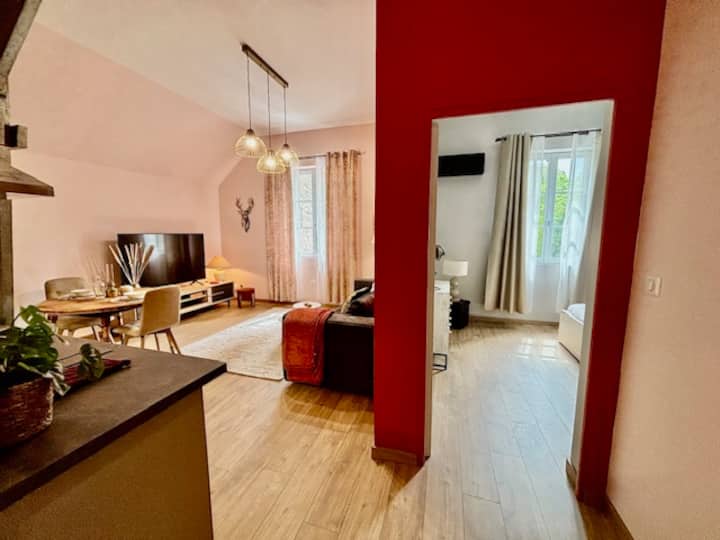 Le Dolby - 80m² Entièrement Climatisé - Vendôme