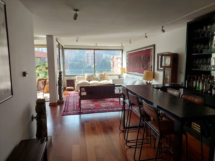 Duplex, Penthouse, Jacuzzi,. - Santiago (Chile)