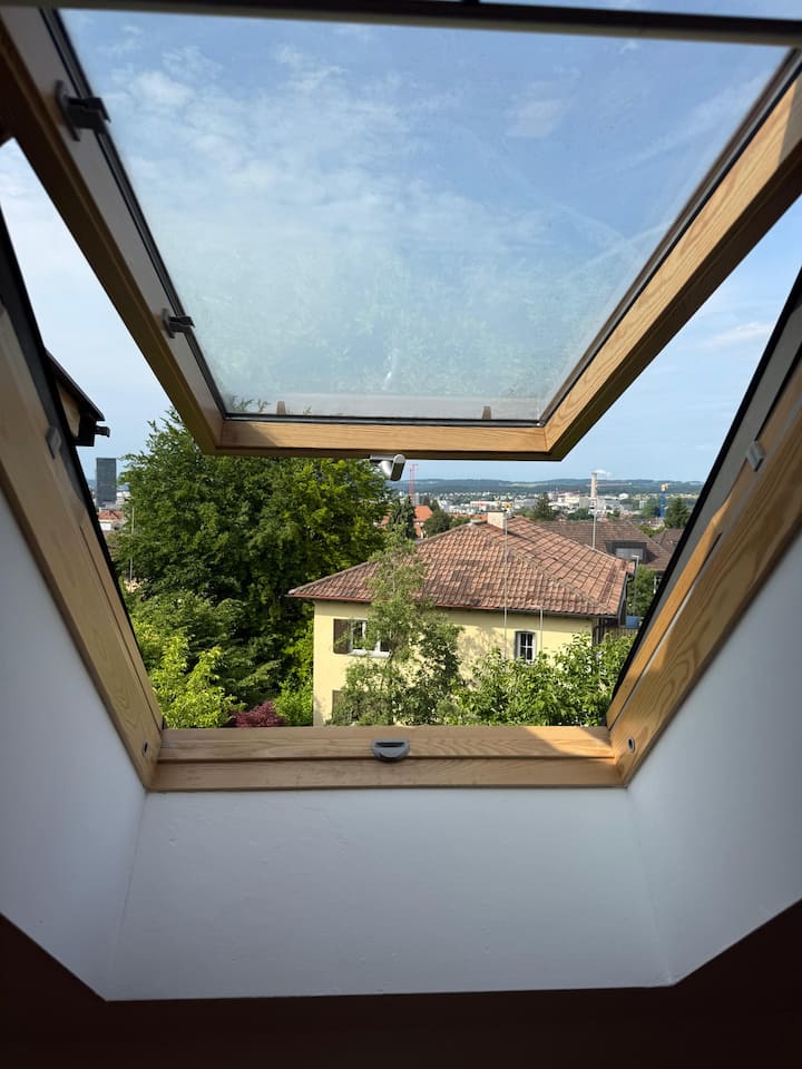 Zimmer In Modernem Loft - Zürich