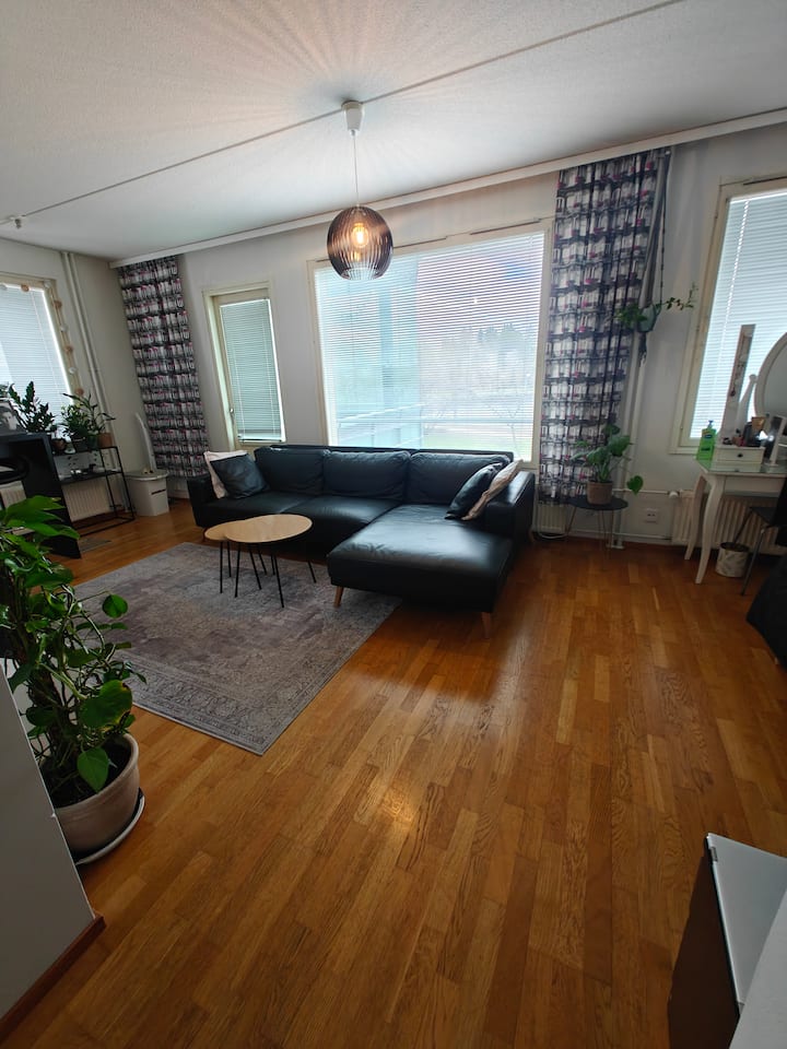 Saunallinen Yksiö Lutakosta - Jyväskylä