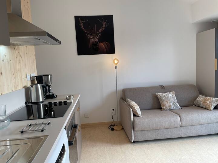 Pie - 1 Chambre Au 1er éTage - Saint-Amand-les-Eaux