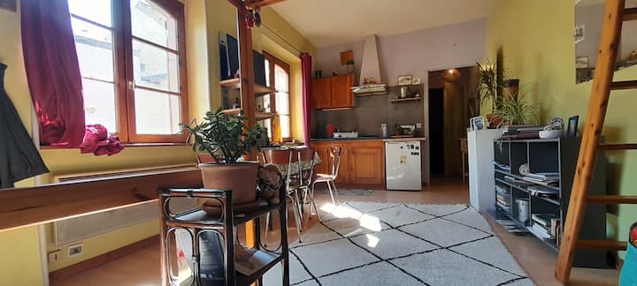Jolie Appartement Centre Ville - Le Puy-en-Velay