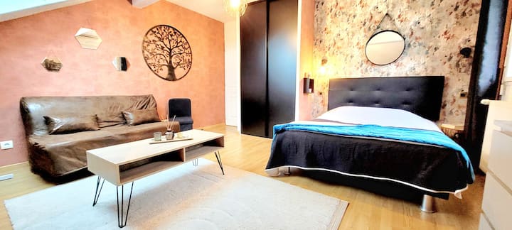 Chambre Chez L'habitant Pdj Inclus - Aix-les-Bains