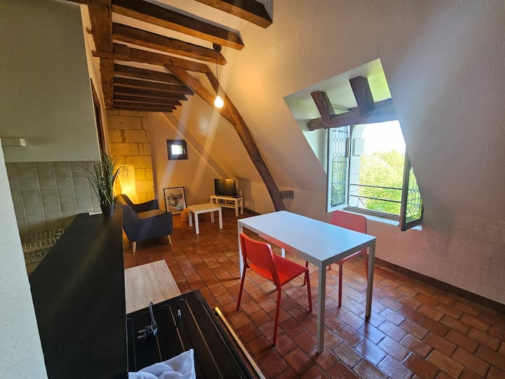 Appartement De Charme Saumur - Saumur