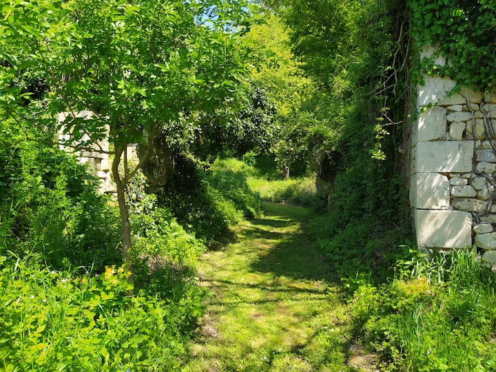 Gite "Au Coeur Des Châteaux" - Touraine