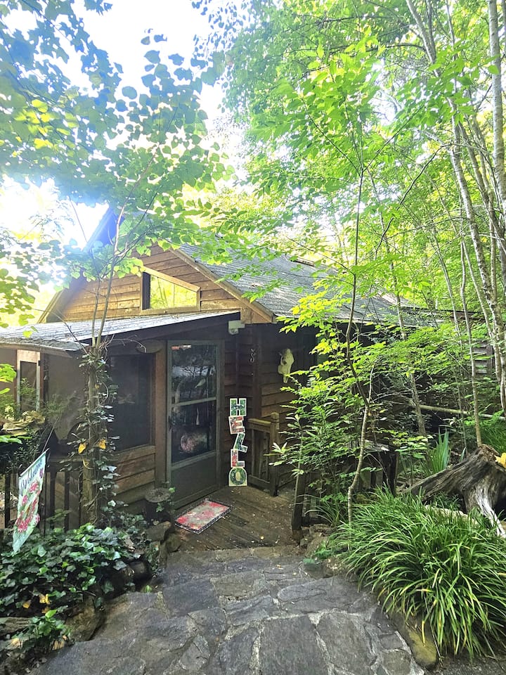 Cabin Home On 5 Wooded Acres - Peaceful, Private - Bryson City, NC