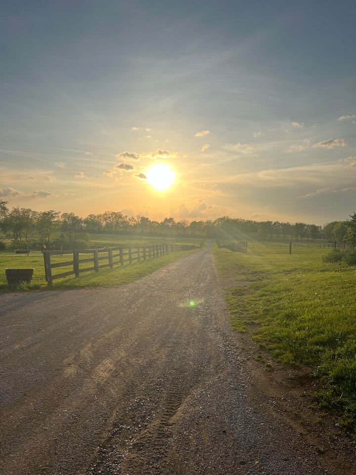 Antebellum Abode - Georgetown, KY