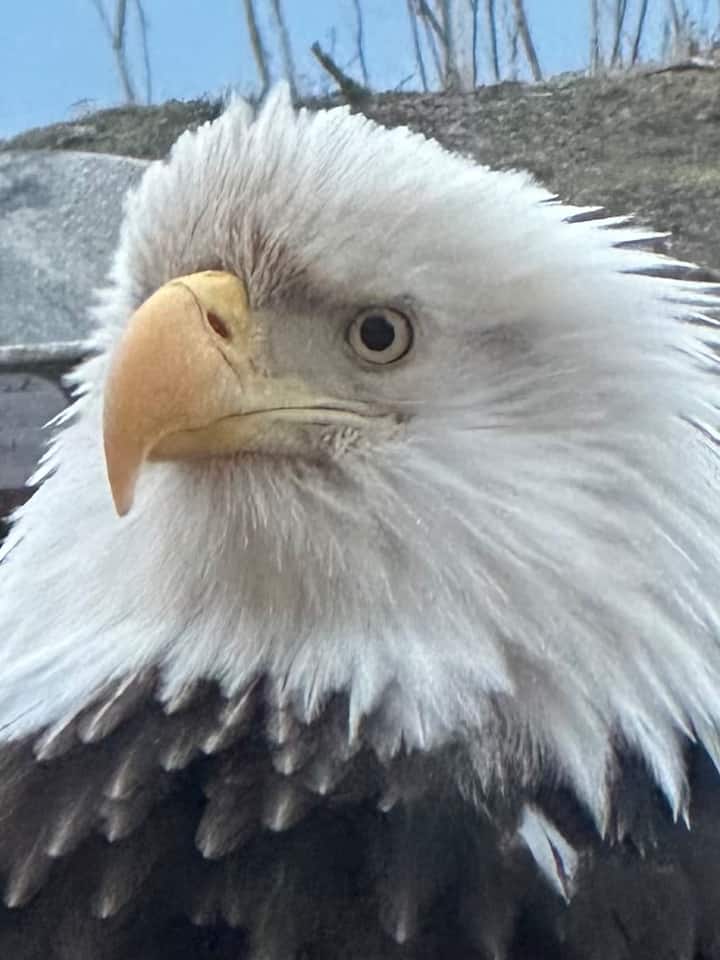 Paradise Suites Eagle's Nest - ホーマー, AK