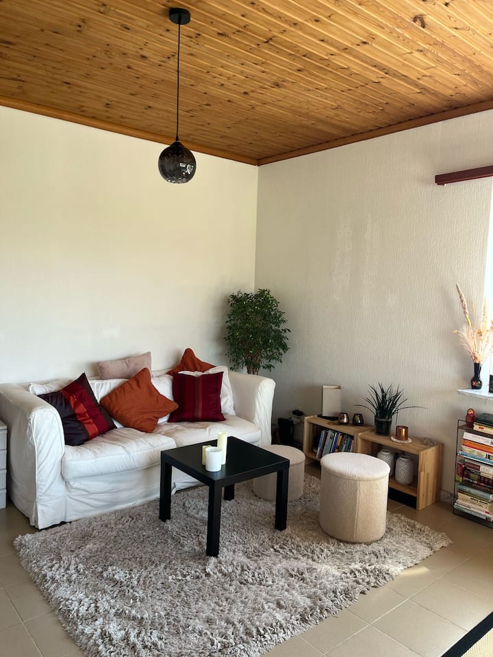 Appartement Joliement Aménagé ! - Willebroek