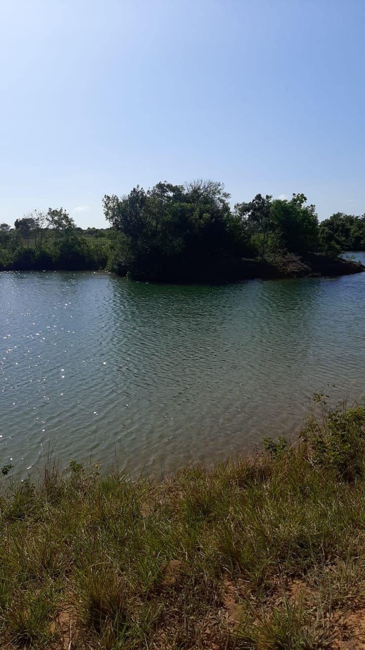 Cabaña En Los Llanos Orientales -