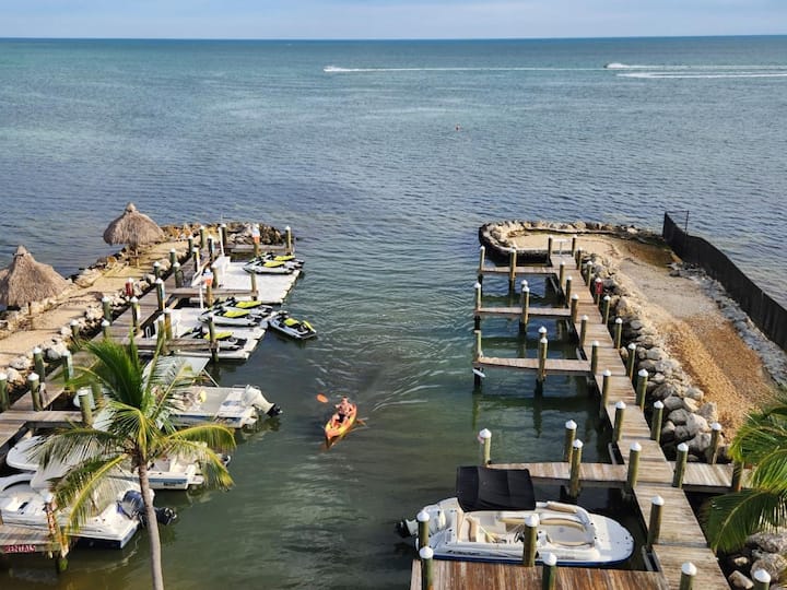 Another Day In Paradise! - Islamorada, FL