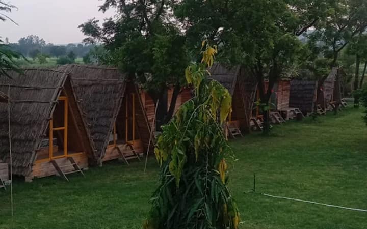Rural Sense Organic Farm-a-shaped Tiny Hut - Faridabad