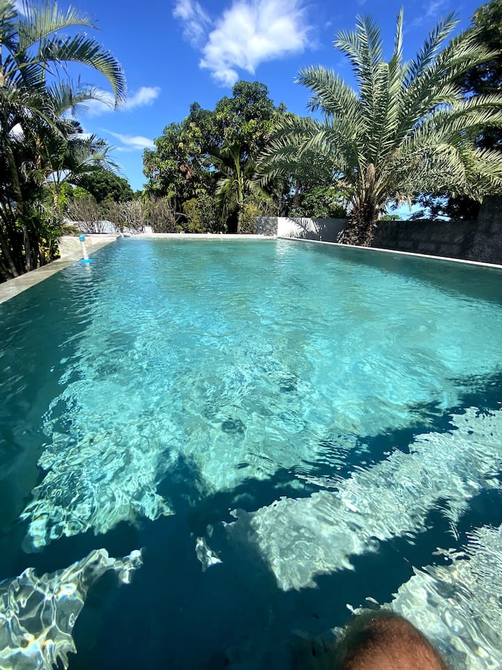 ÉVasion Tropicale Au Cœur De La Réunion - Saint-Pierre