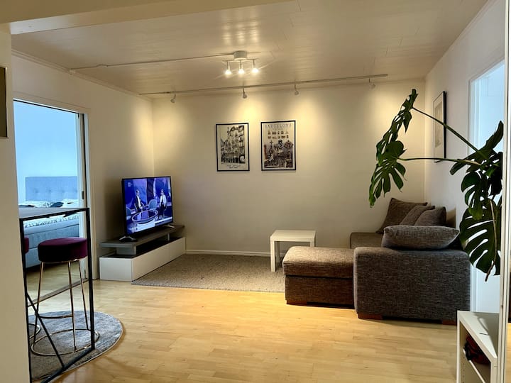 Spacious 3 Room Condo In Central Turku - Turku