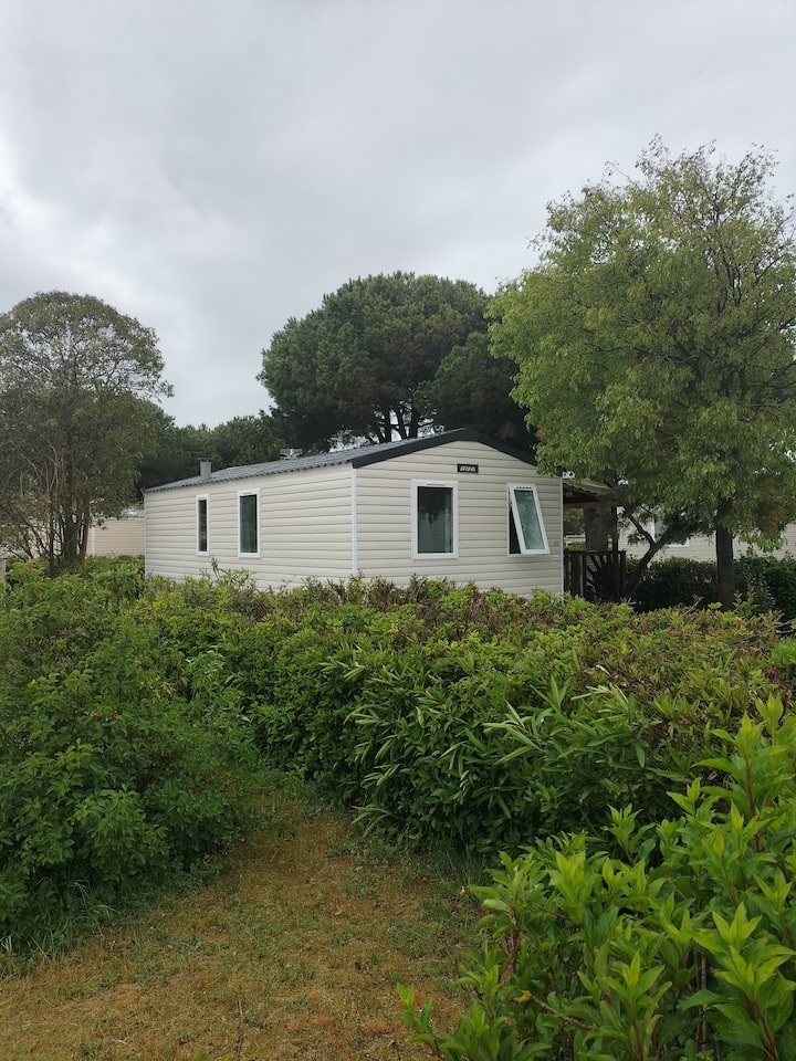 Mobil-home Dans Un Camping - 