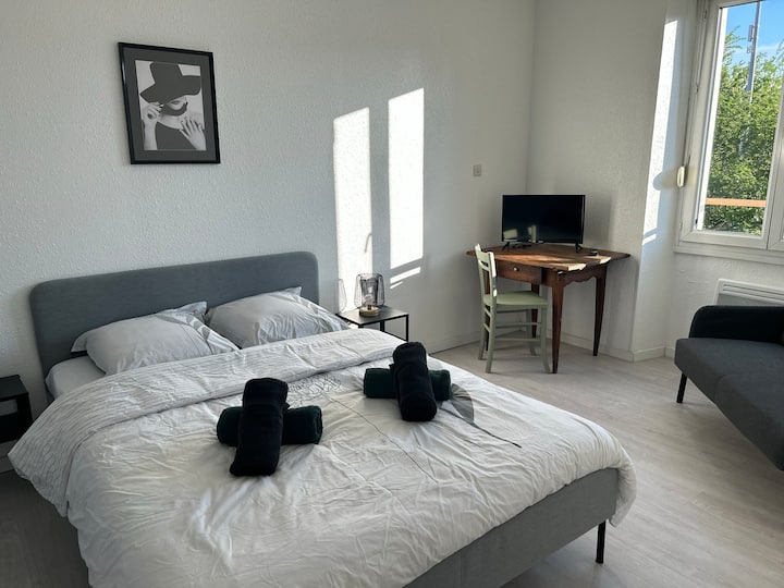 Appartement Proche Gare Et Centre Ville De Belfort - 벨포르