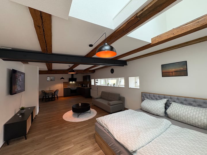 Serviced Apartment 3 "Easy Pro" Alte Scheune Gun - Gunzenhausen