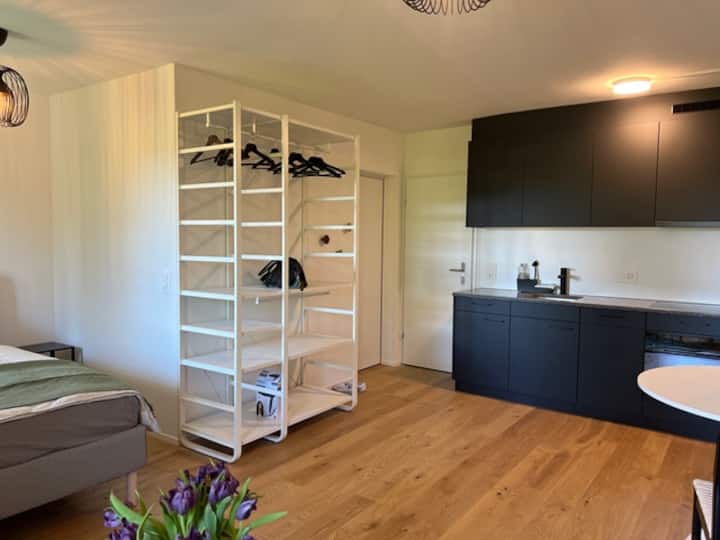 Modernes Studio In Bern "Marzili" - Bern