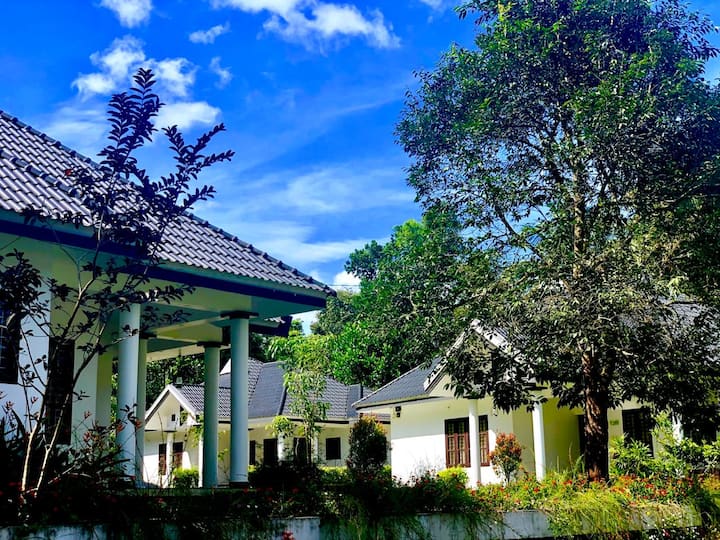 1 Room Wayanad Ac Villa | Pool, Trees & Peace - Wayanad