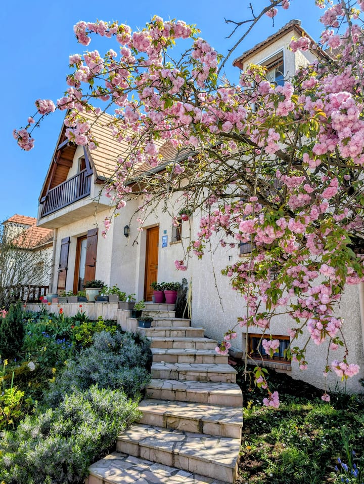 Appartement Disneyland 3 Chambres - Saint-Thibault-des-Vignes