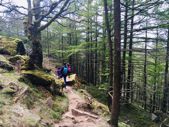 A 15' De Donosti-san Sebastián - San Sebastián