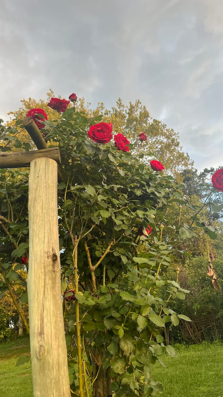 Paradise Farm - Lions River