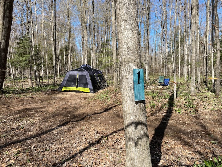 Private Wooded Campsite For Tents Or Small Rv's #1 - Benzonia, MI