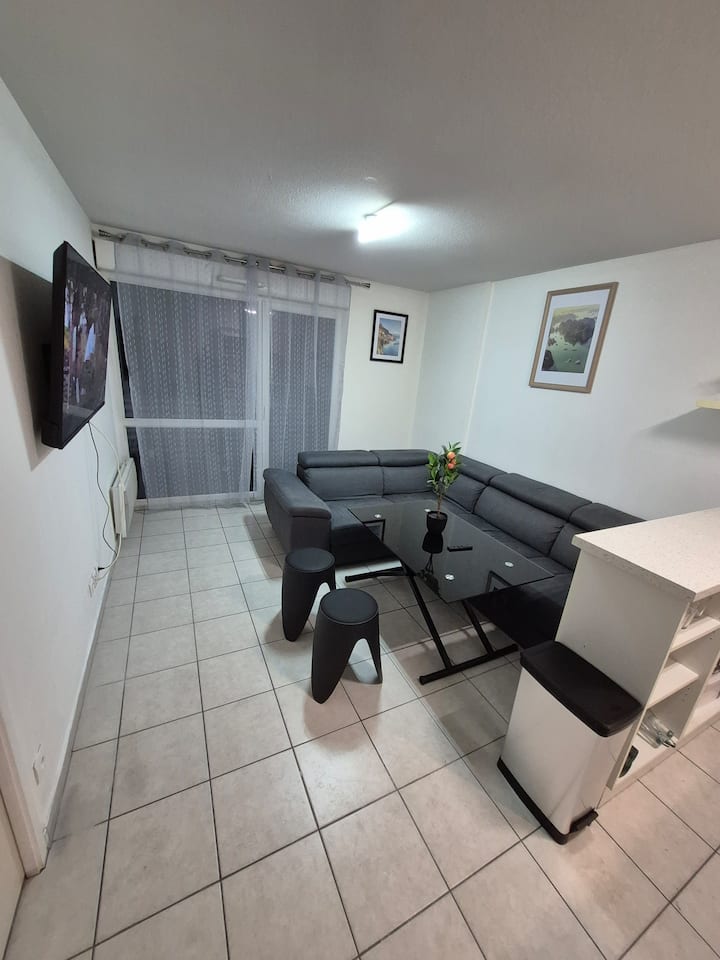 Appartement Proche De Genève - Annemasse