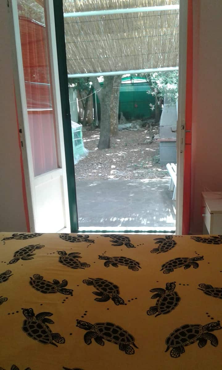 Appartamento Con Giardino Privato Vicino Mare - Cecina