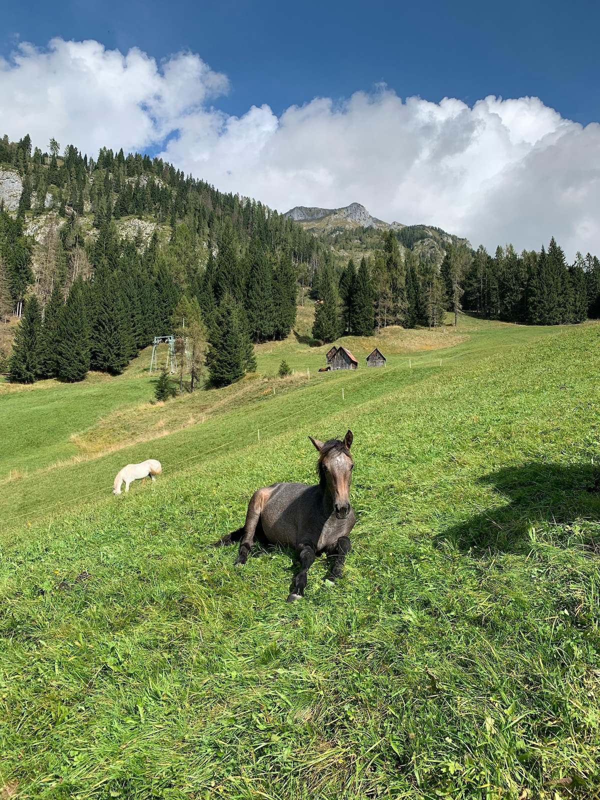 Monte Ferro Refuge - half board - Farm stays for Rent in Sappada ...