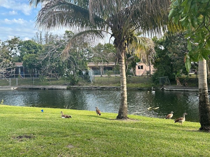 Beautiful House Near Sawgrass - Sunrise, FL