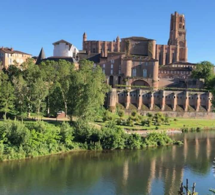 Les Berges Du Tarn - Albi