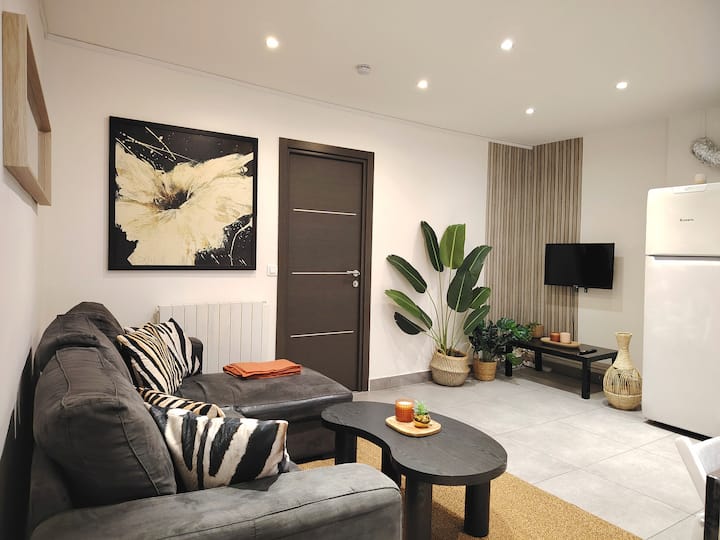 L'oasis - Centre Montferrand - Clermont-Ferrand