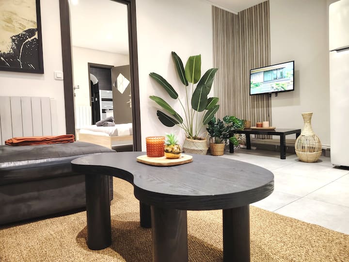 L'oasis ~ Agréable Et Moderne - Gare de Clermont-Ferrand