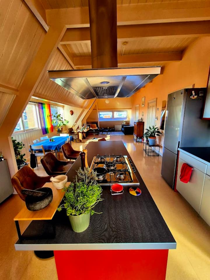 The Haven Skylight Apartment - Heemstede