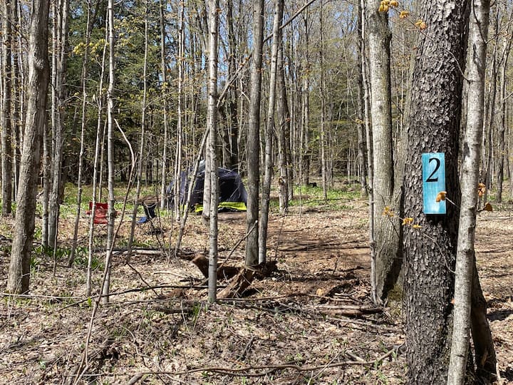 Private Wooded Campsite For Tents Or Small Rv's #2 - Benzonia, MI