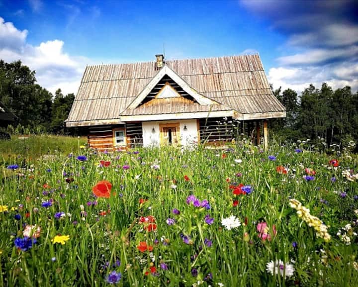 Kaajówka Ludowa Chata - Wetlina