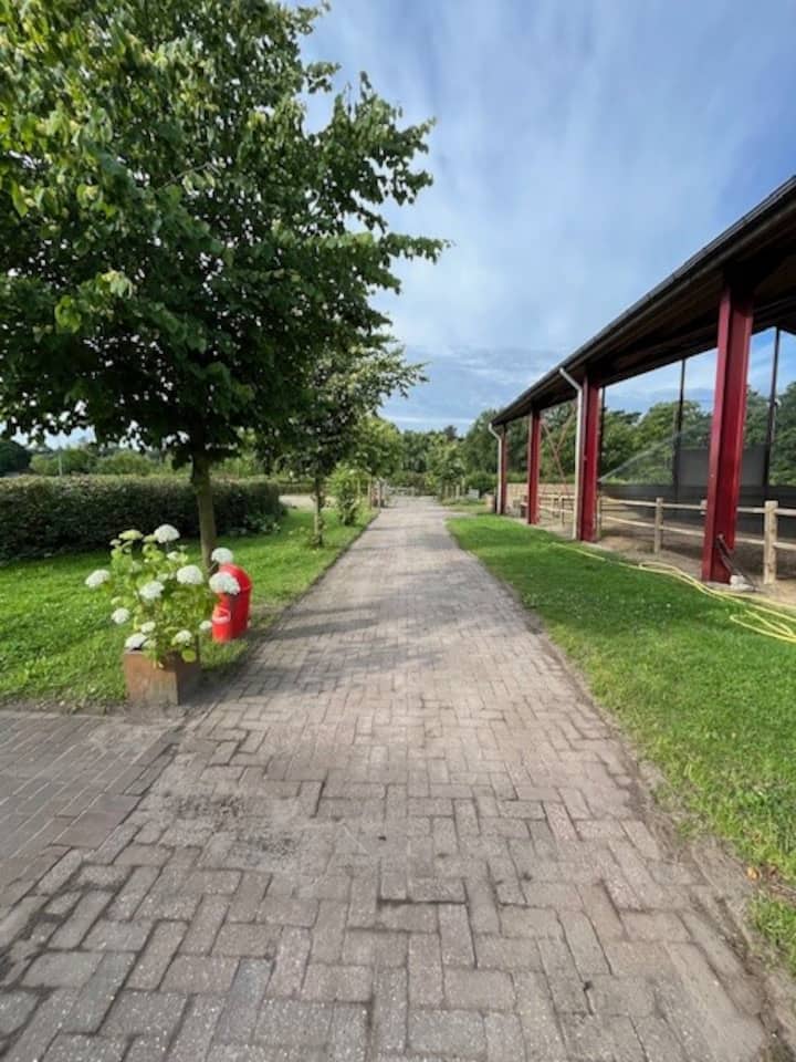 Rust In Bos - Roermond