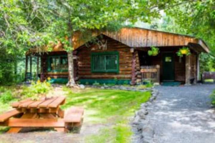Old Riverfront Cabin - Cooper Landing, AK