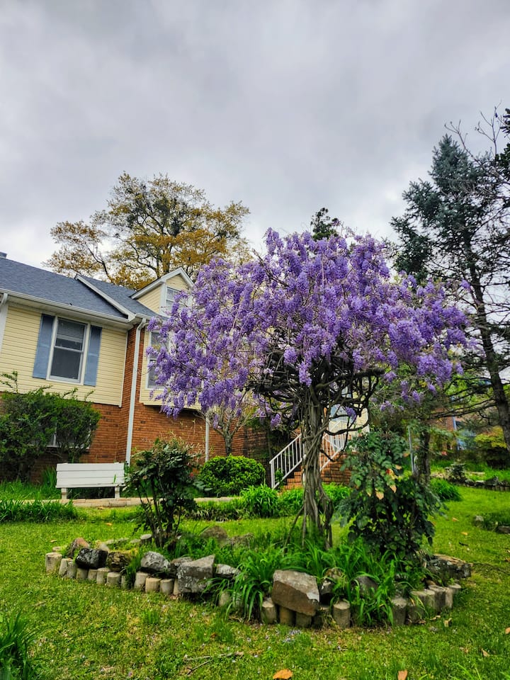 5 Minutes From Downtown - Hoover, AL