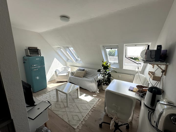 Kleines Penthouse In Mannheim - Mannheim