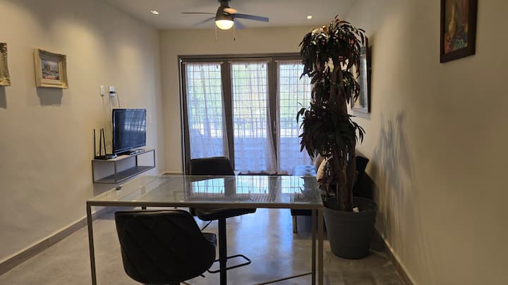 Pino Blanco: 2 Apts 2br Parking + Terrace - Monterrey