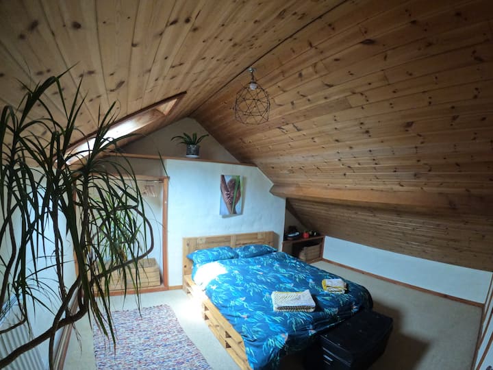 Room In Miners Cottage, Bethesda - Bethesda