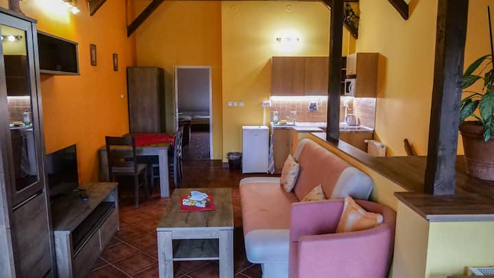 Apartmány Na Hradbách P4 - Louny