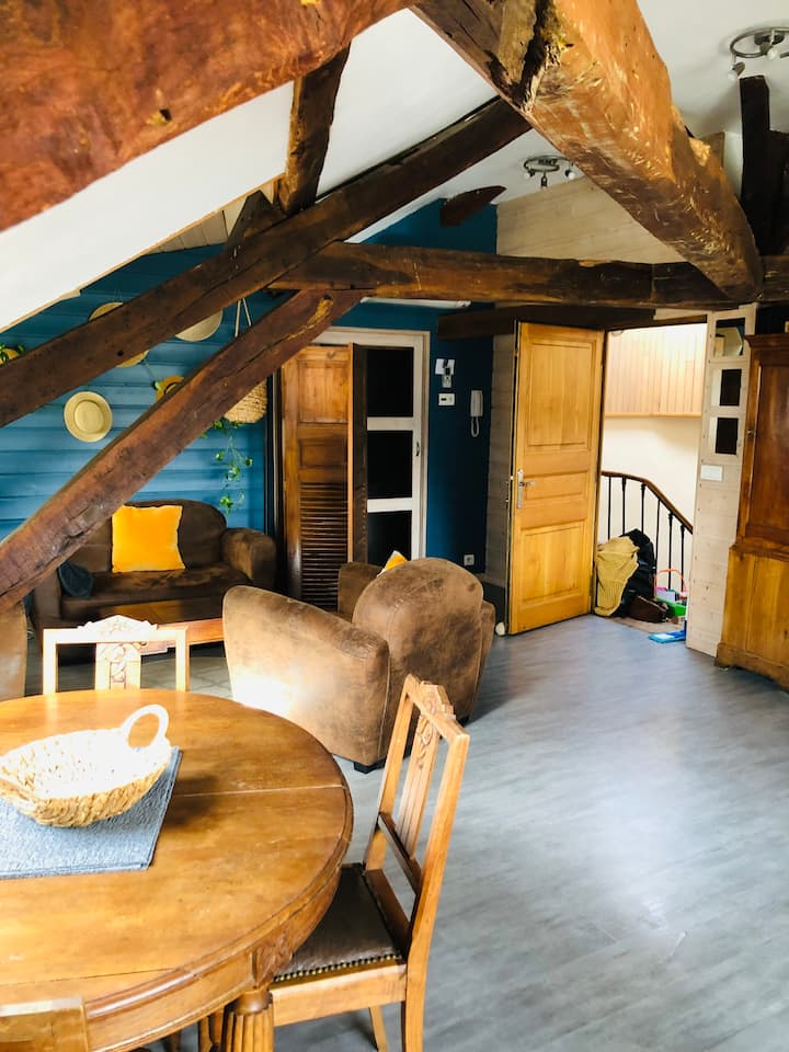 Dowtown Appartment - Périgueux